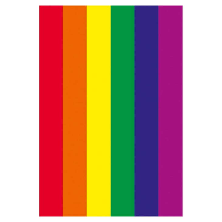 Gay Rainbow Flag Fridge Magnet (LGBT Accessory) – Queer Lit
