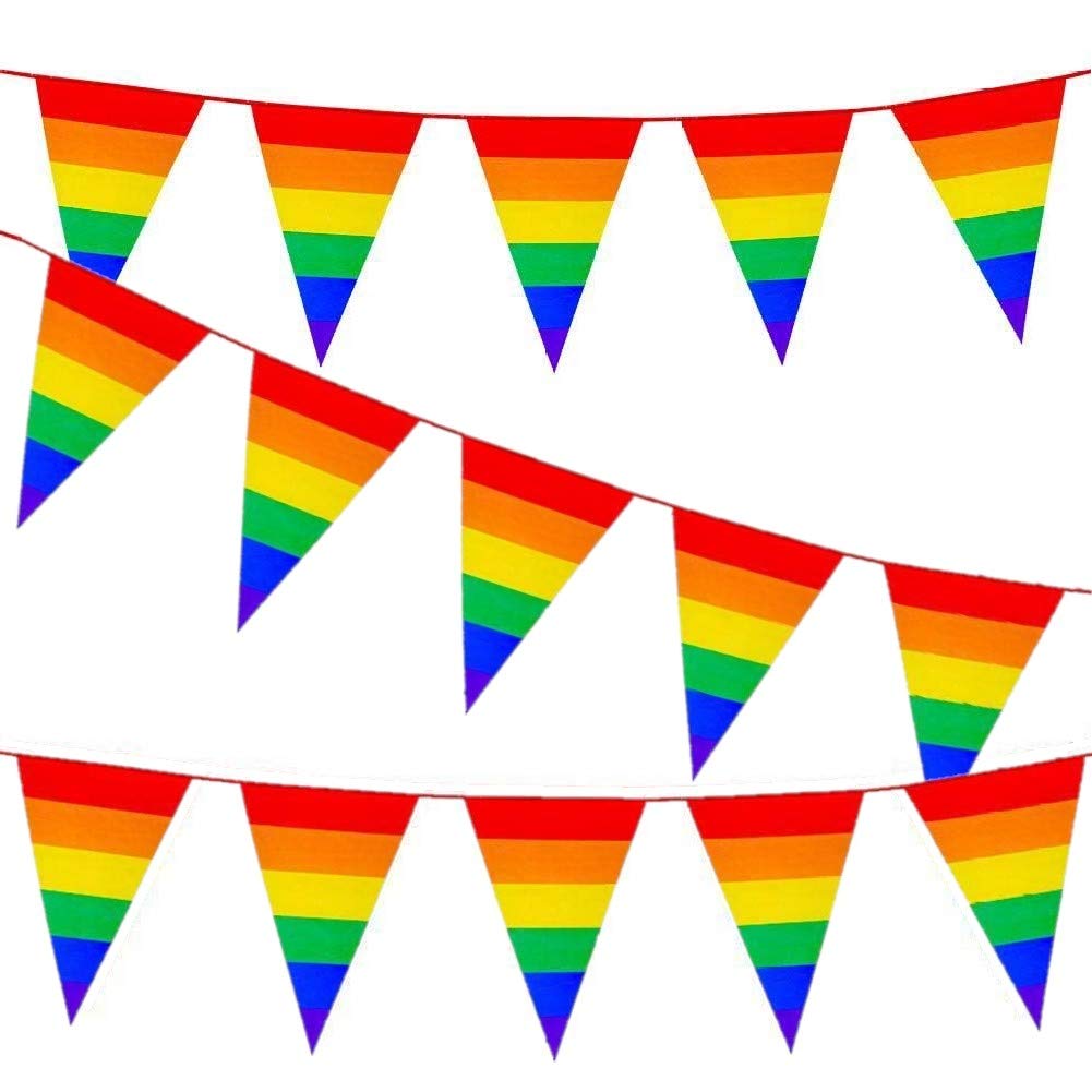 Gay Pride Flag Bunting Triangle - 8 Meters (LGBT Decorations) – Queer Lit