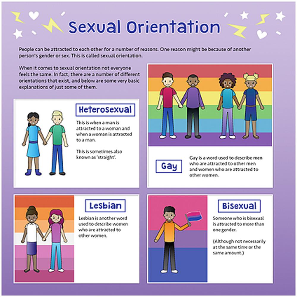 What Does LGBT+ Mean by Olly Pike (Paperback) – Queer Lit